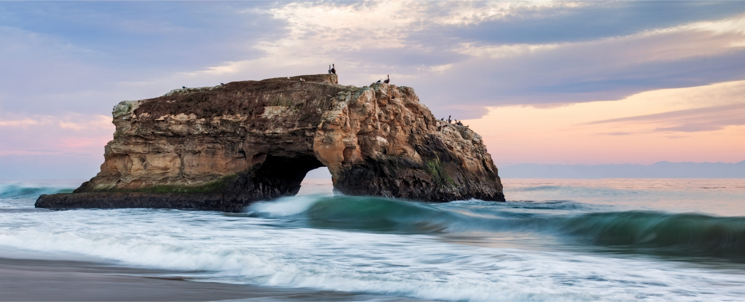 About Us - Capstan Medical